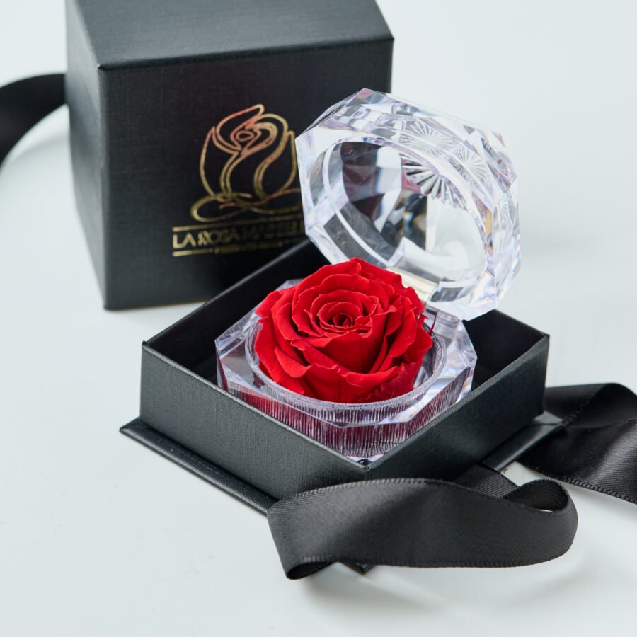 Rosas – La Rosa Más Bella