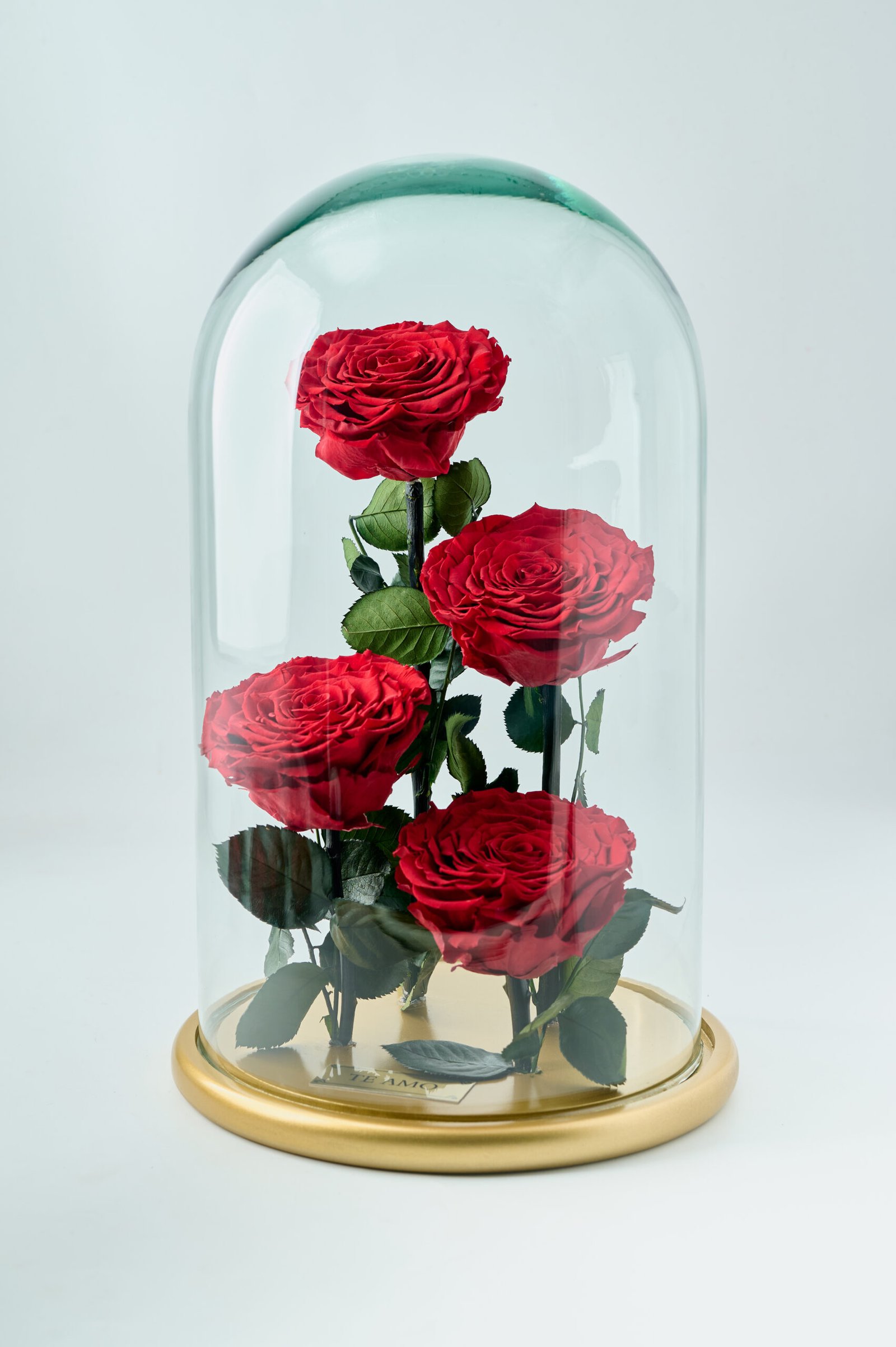 Flores – La Rosa Más Bella